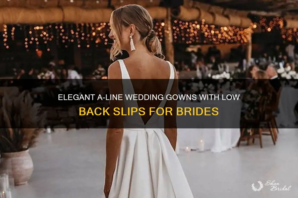 Elegant A-Line Wedding Gowns With Low Back Slips For Brides | ShunBridal