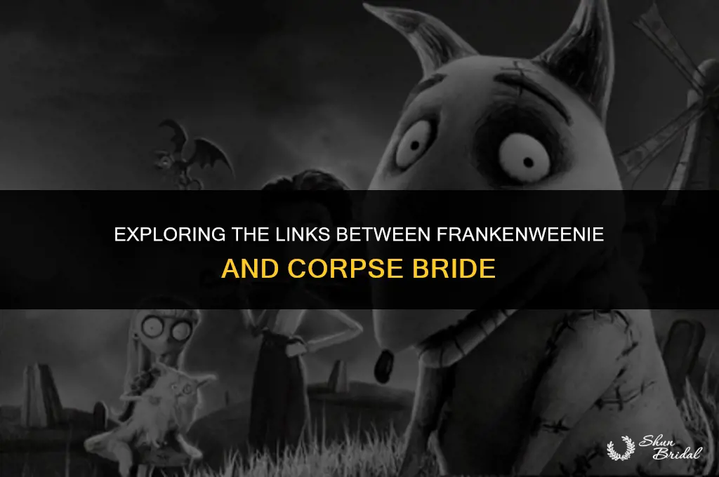 Exploring The Links Between Frankenweenie And Corpse Bride | ShunBridal