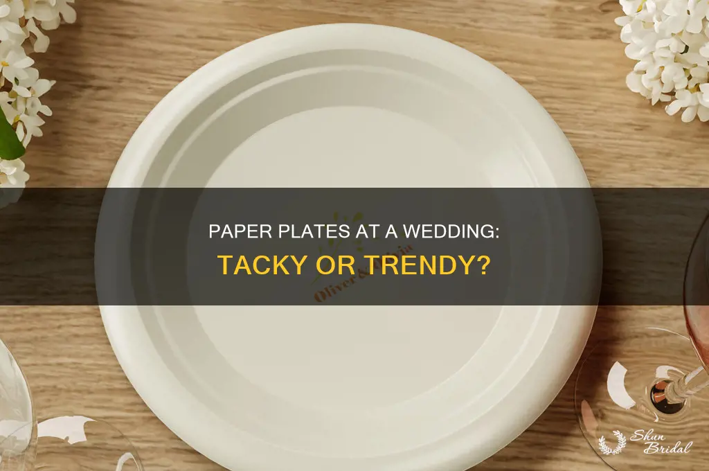 Paper Plates At A Wedding: Tacky Or Trendy? | ShunBridal