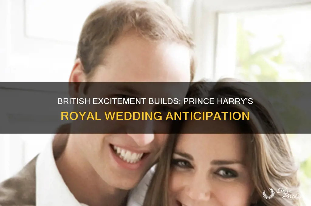British Excitement Builds: Prince Harry's Royal Wedding Anticipation ...
