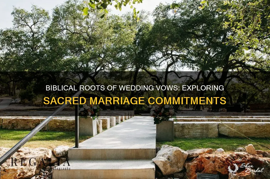 Biblical Roots Of Wedding Vows: Exploring Sacred Marriage Commitments ...