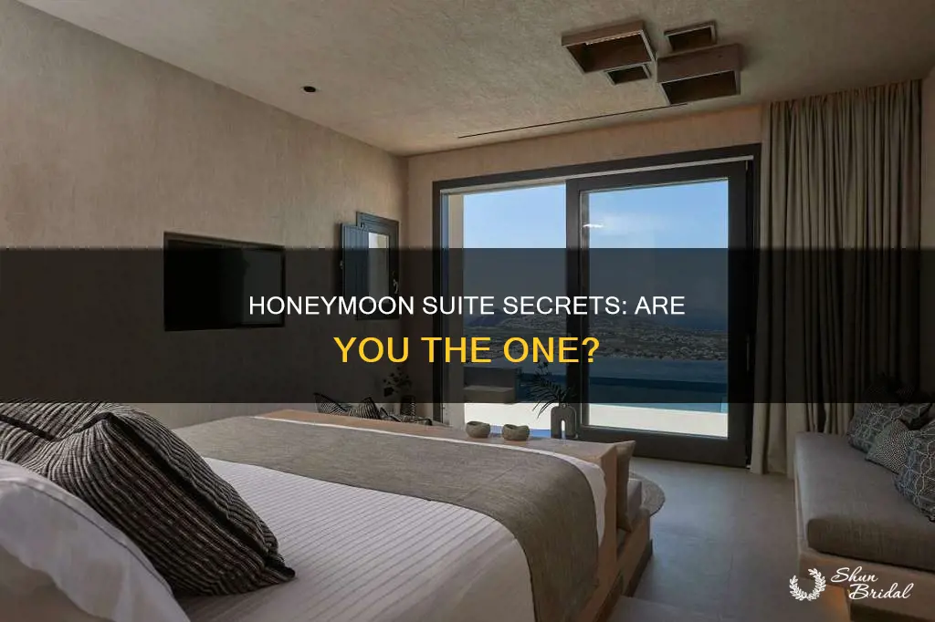 Honeymoon Suite Secrets: Are You The One? | ShunBridal