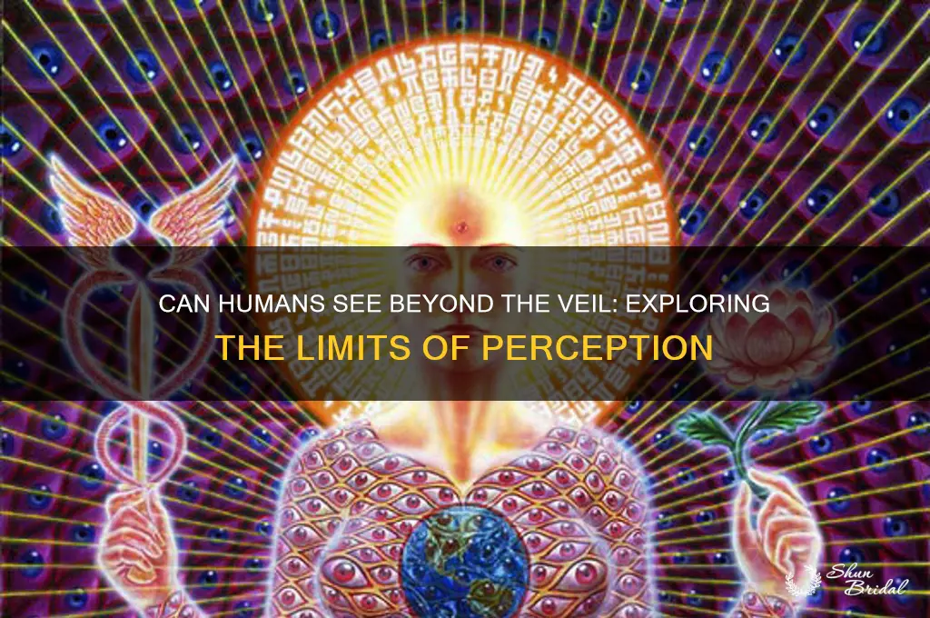 Can Humans See Beyond The Veil: Exploring The Limits Of Perception ...