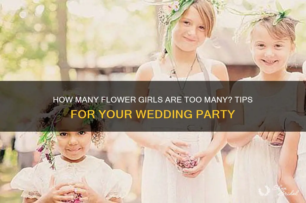 How Many Flower Girls Are Too Many? Tips For Your Wedding Party ...