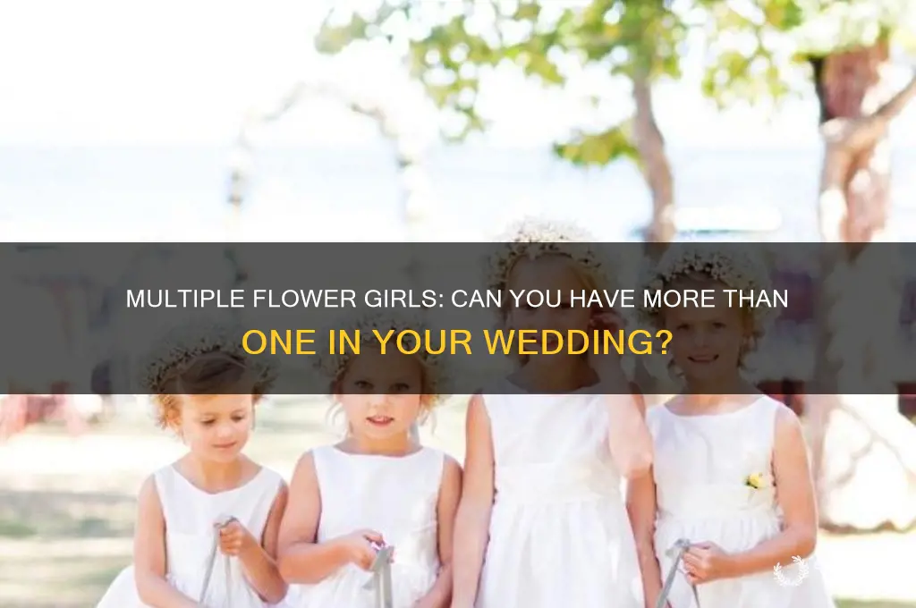 Multiple Flower Girls: Can You Have More Than One In Your Wedding ...