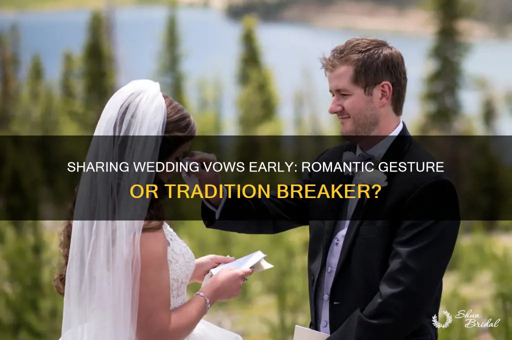 Sharing Wedding Vows Early: Romantic Gesture Or Tradition Breaker ...