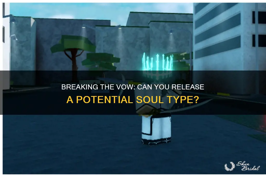 Breaking The Vow: Can You Release A Potential Soul Type? | ShunBridal
