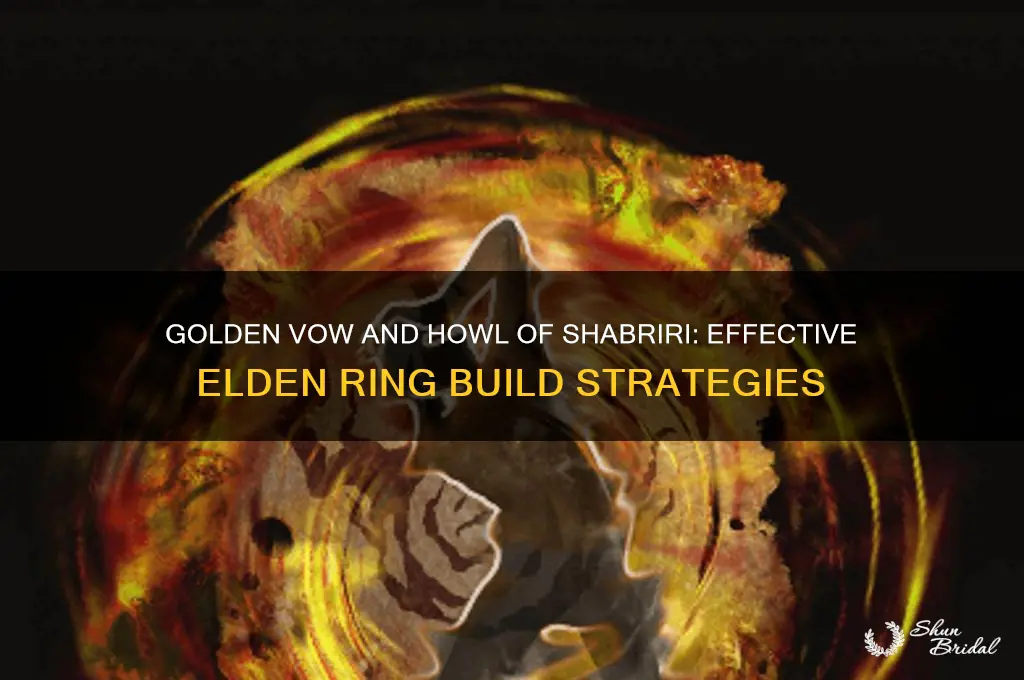 Golden Vow And Howl Of Shabriri: Effective Elden Ring Build Strategies ...