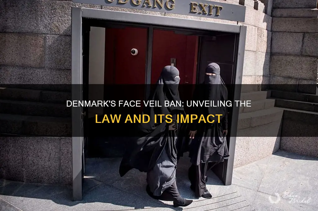 Denmark's Face Veil Ban: Unveiling The Law And Its Impact | ShunBridal