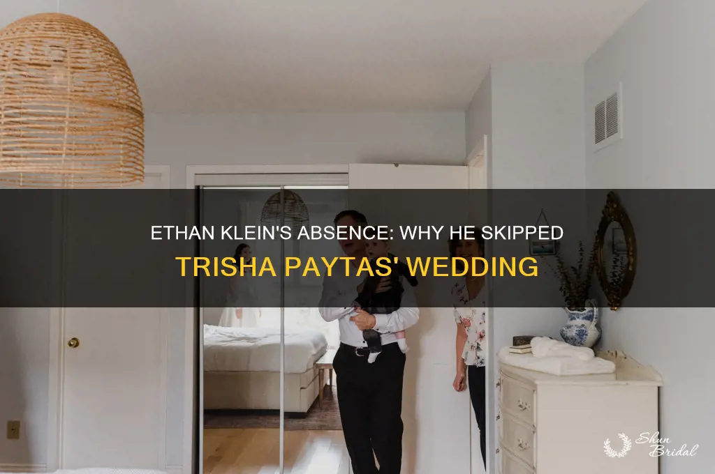 Ethan Klein's Absence: Why He Skipped Trisha Paytas' Wedding | ShunBridal