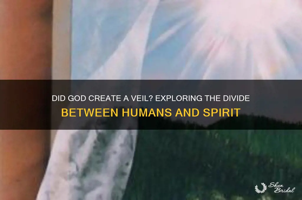 Did God Create A Veil? Exploring The Divide Between Humans And Spirit ...