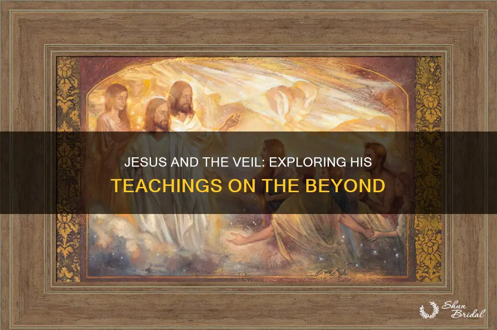 Jesus And The Veil: Exploring His Teachings On The Beyond | ShunBridal