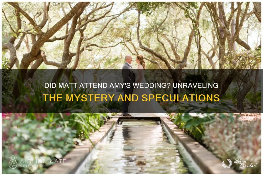 Did Matt Attend Amy's Wedding? Unraveling The Mystery And Speculations ...