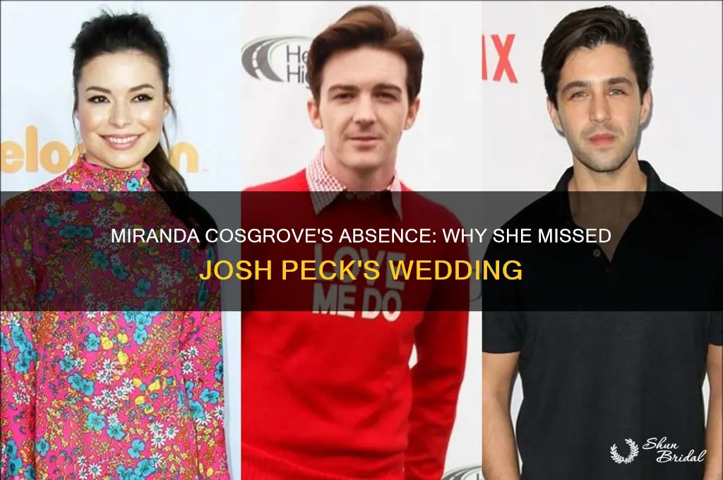 Miranda Cosgrove's Absence: Why She Missed Josh Peck's Wedding | ShunBridal