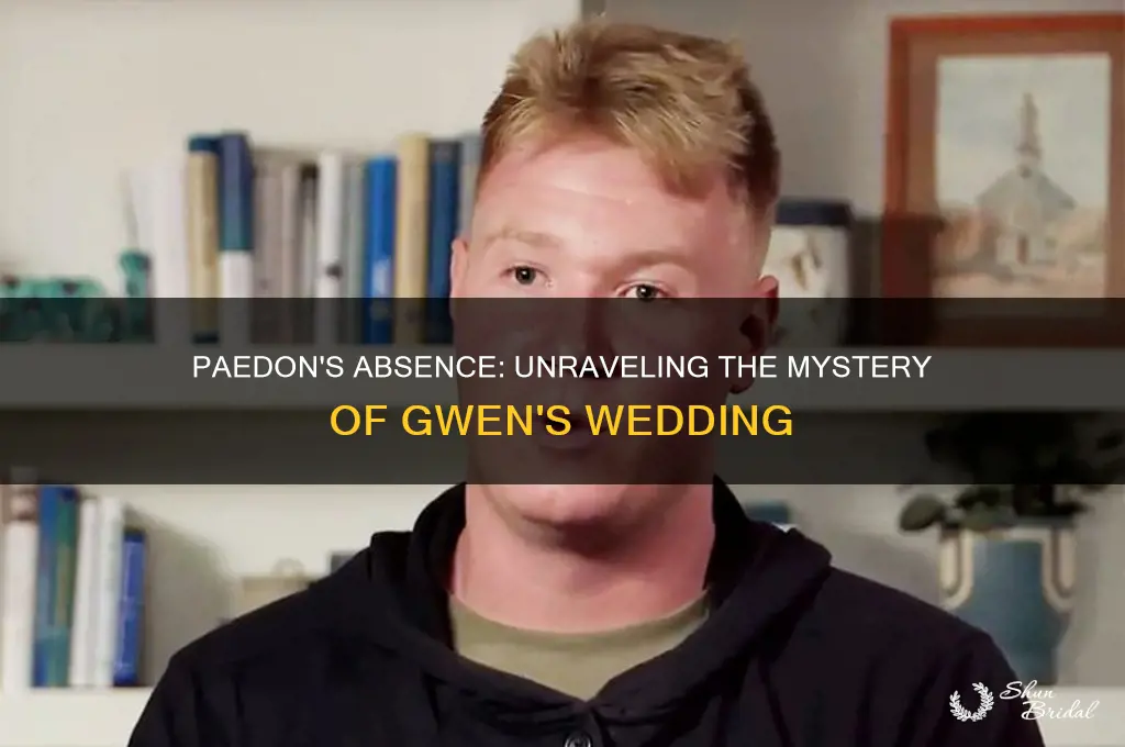 Paedon's Absence: Unraveling The Mystery Of Gwen's Wedding | ShunBridal