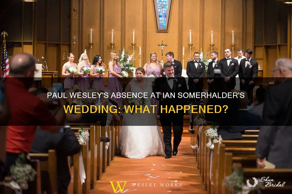 Paul Wesley's Absence At Ian Somerhalder's Wedding: What Happened ...