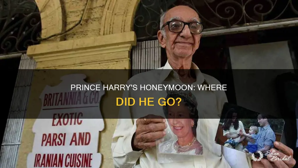 Prince Harry's Honeymoon: Where Did He Go? | ShunBridal