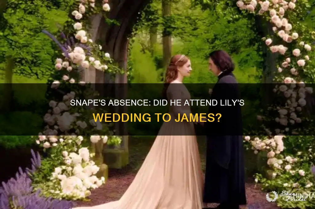 Snape's Absence: Did He Attend Lily's Wedding To James? | ShunBridal
