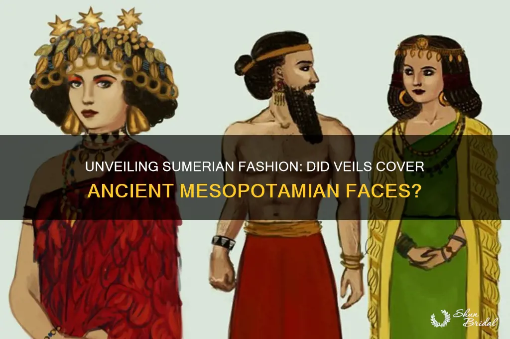 Unveiling Sumerian Fashion: Did Veils Cover Ancient Mesopotamian Faces ...