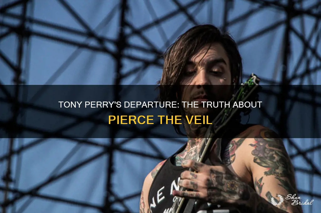 Tony Perry's Departure: The Truth About Pierce The Veil | ShunBridal
