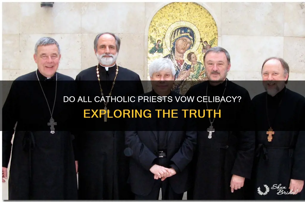 Do All Catholic Priests Vow Celibacy? Exploring The Truth | ShunBridal