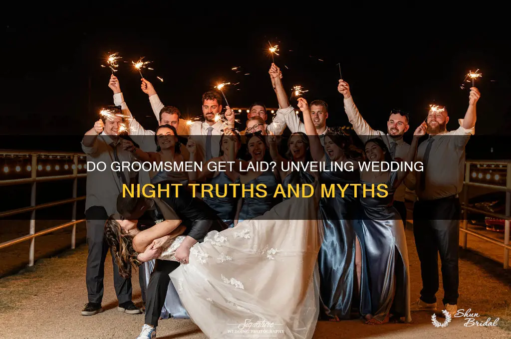 Do Groomsmen Get Laid? Unveiling Wedding Night Truths And Myths ...