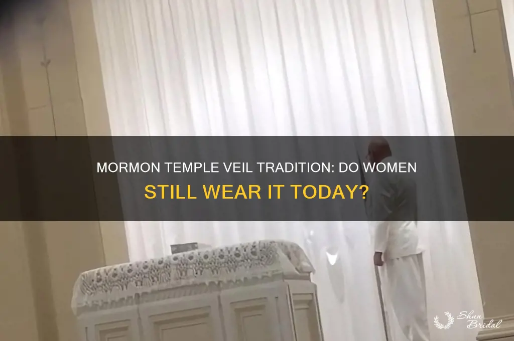 Mormon Temple Veil Tradition: Do Women Still Wear It Today? | ShunBridal