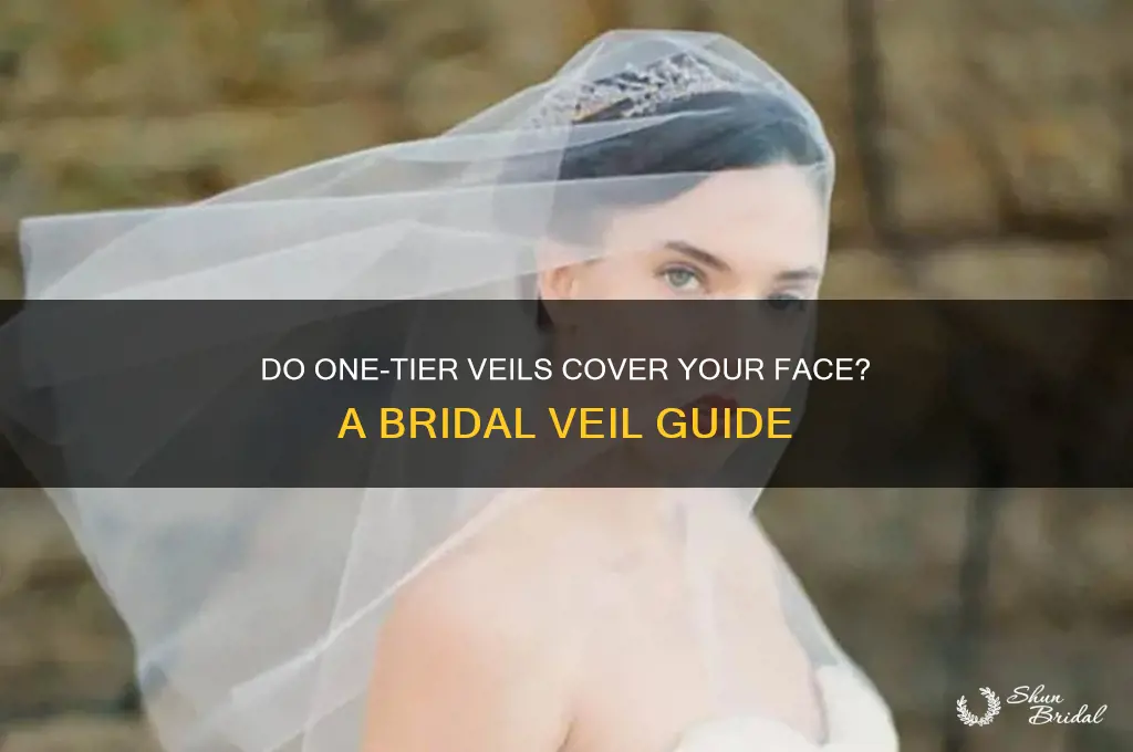 Do One-Tier Veils Cover Your Face? A Bridal Veil Guide | ShunBridal