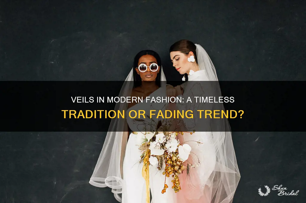 Veils In Modern Fashion: A Timeless Tradition Or Fading Trend? | ShunBridal