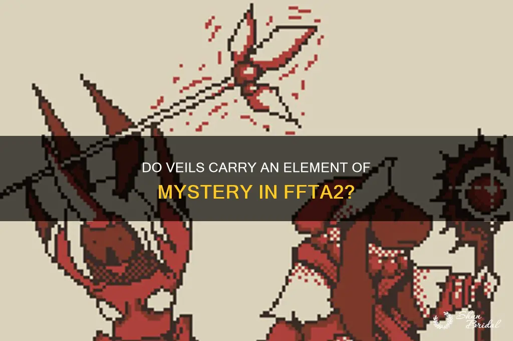 Do Veils Carry An Element Of Mystery In Ffta2? | ShunBridal