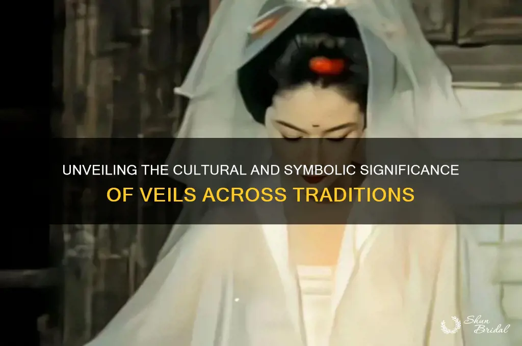 Unveiling The Cultural And Symbolic Significance Of Veils Across ...