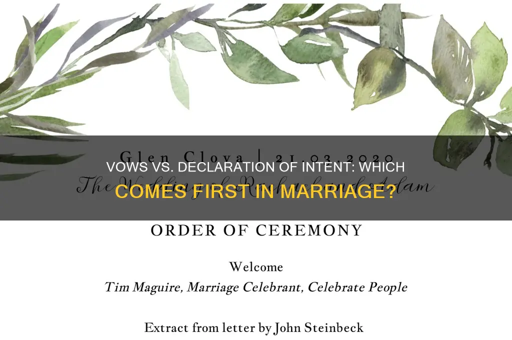 Declaration Of Intent Vs Vows