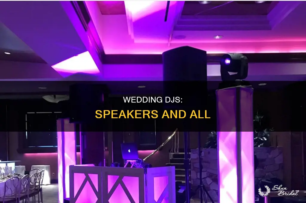 Wedding Djs: Speakers And All | ShunBridal