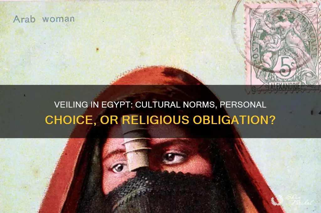 Veiling In Egypt: Cultural Norms, Personal Choice, Or Religious ...