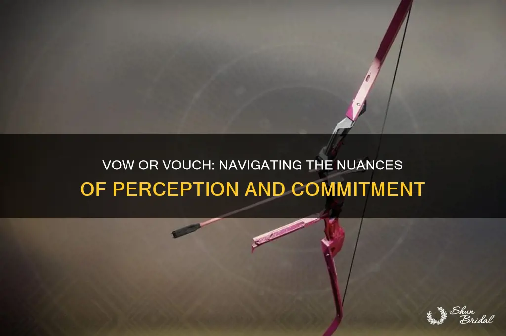 Vow Or Vouch: Navigating The Nuances Of Perception And Commitment ...