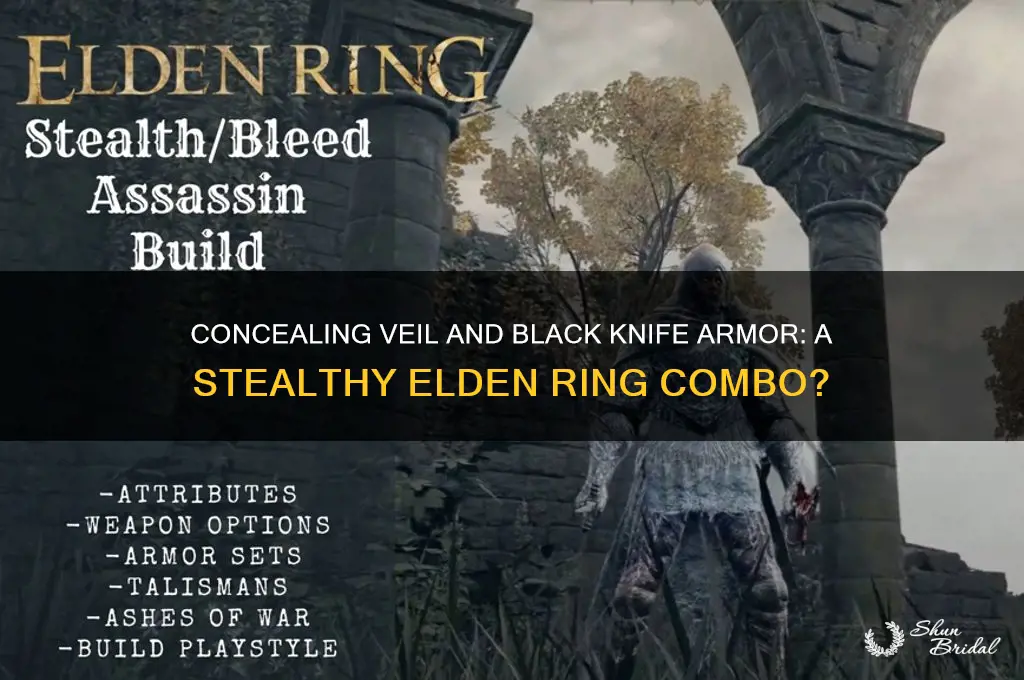 Concealing Veil And Black Knife Armor: A Stealthy Elden Ring Combo ...