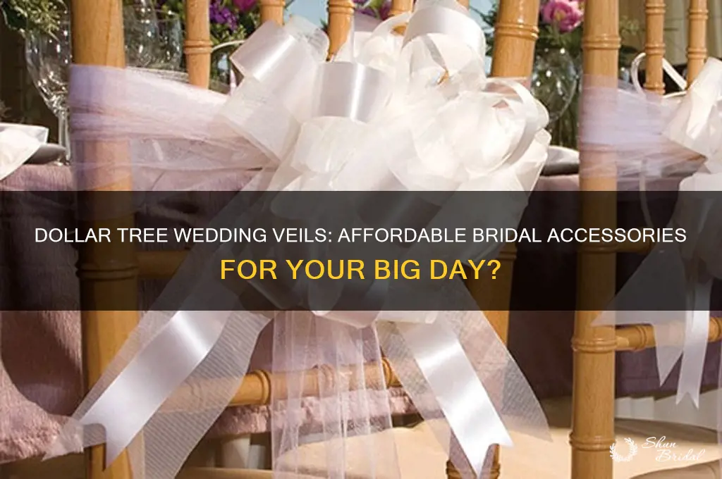 Dollar Tree Wedding Veils: Affordable Bridal Accessories For Your Big ...