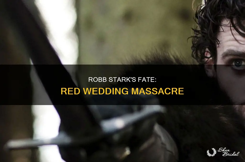 Robb Stark's Fate: Red Wedding Massacre | ShunBridal