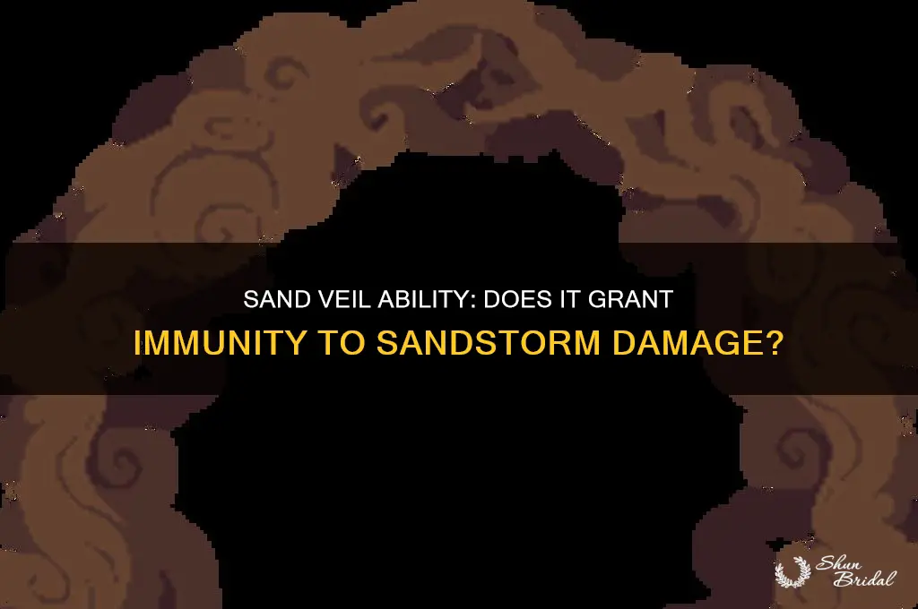 Sand Veil Ability: Does It Grant Immunity To Sandstorm Damage? | ShunBridal