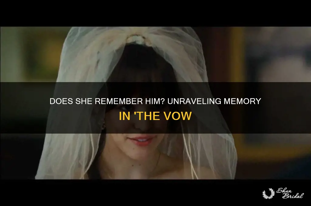 Does She Remember Him? Unraveling Memory In 'The Vow | ShunBridal