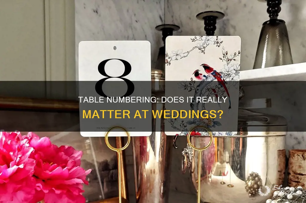 Table Numbering: Does It Really Matter At Weddings? | ShunBridal