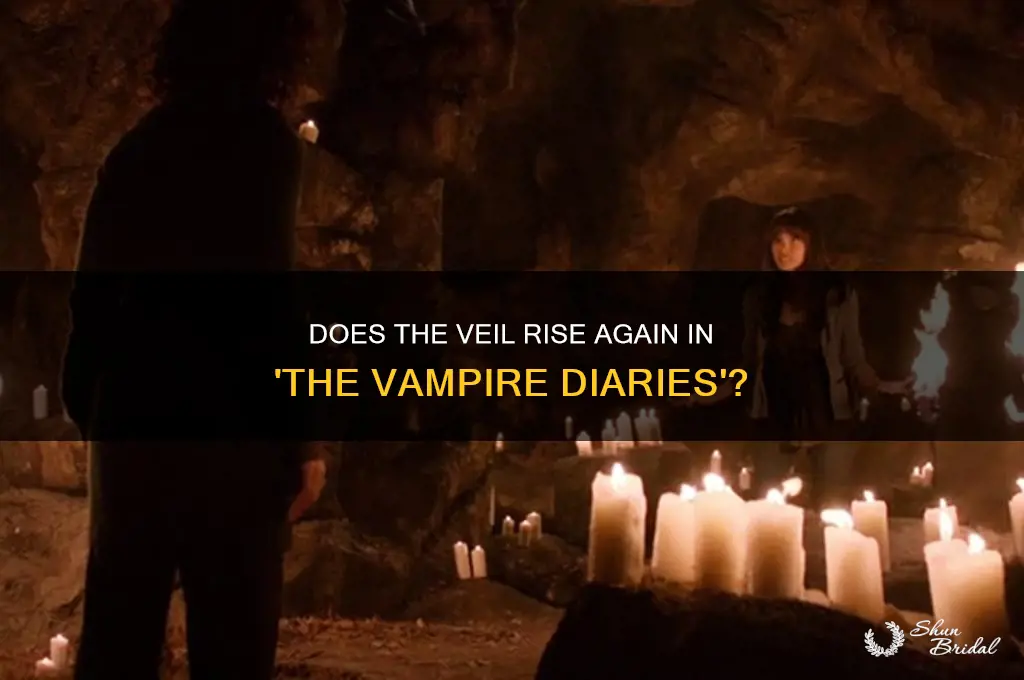 Does The Veil Rise Again In 'The Vampire Diaries'? | ShunBridal