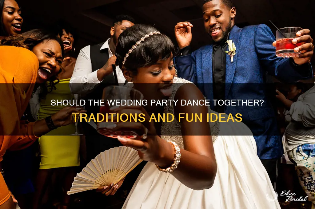 Should The Wedding Party Dance Together? Traditions And Fun Ideas ...