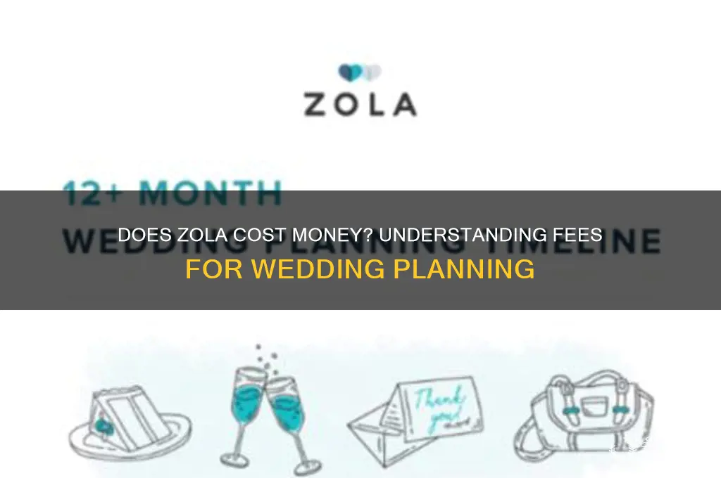Does Zola Cost Money? Understanding Fees For Wedding Planning | ShunBridal