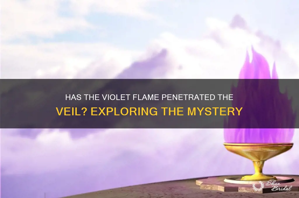 Has The Violet Flame Penetrated The Veil? Exploring The Mystery ...