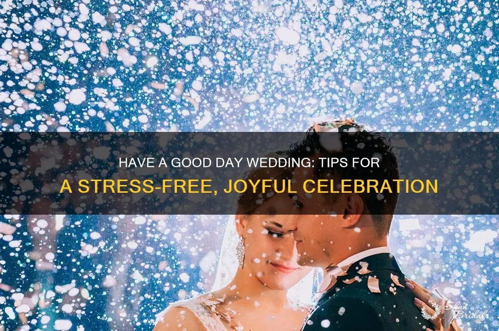 Have A Good Day Wedding: Tips For A Stress-Free, Joyful Celebration ...