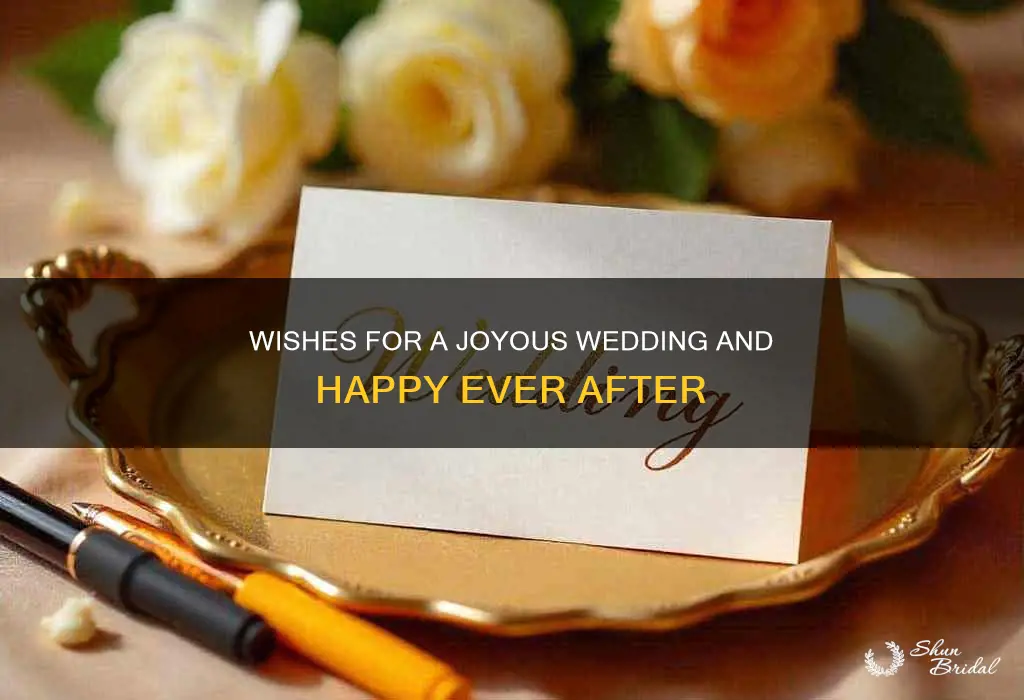 Wishes For A Joyous Wedding And Happy Ever After | ShunBridal