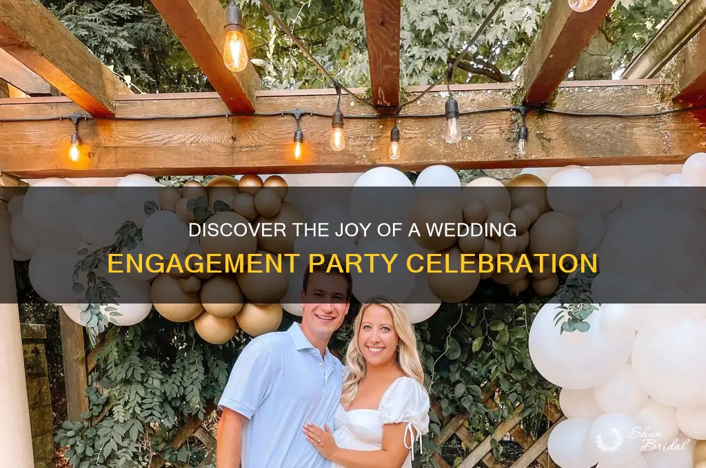 Discover The Joy Of A Wedding Engagement Party Celebration | ShunBridal