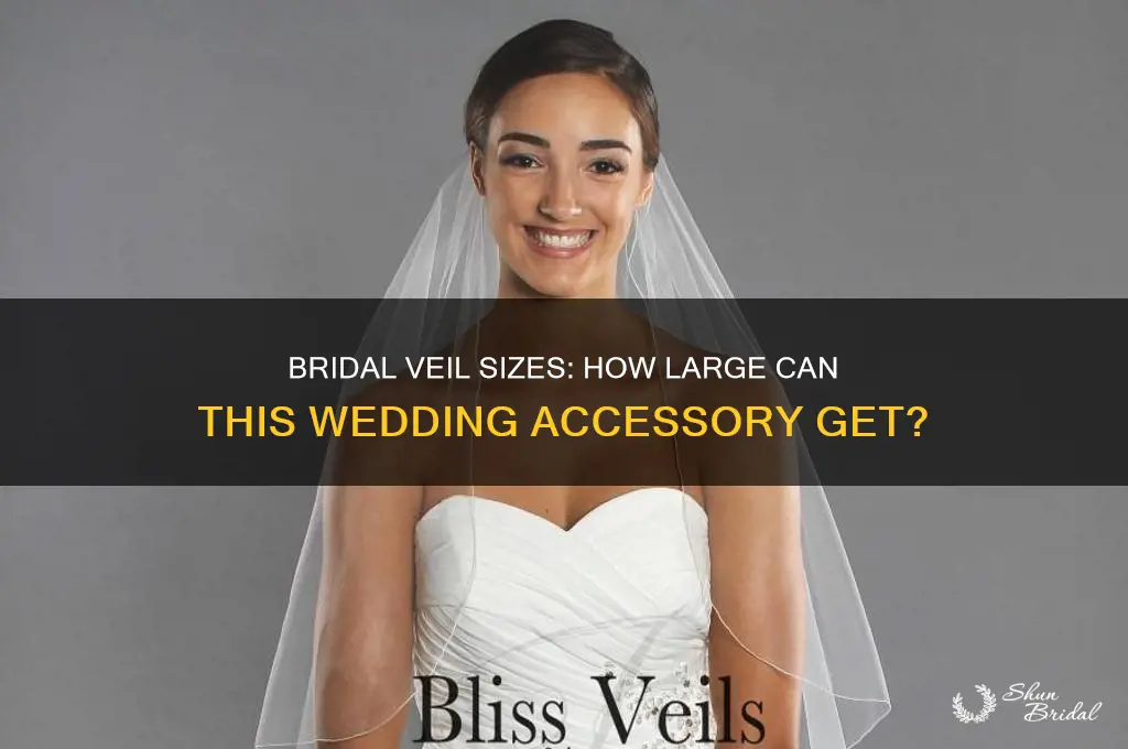 Bridal Veil Sizes: How Large Can This Wedding Accessory Get? | ShunBridal
