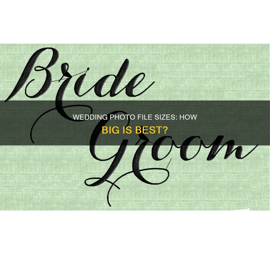 Wedding Photo File Sizes: How Big Is Best? | ShunBridal
